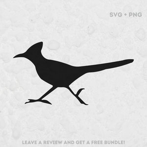 Roadrunner Svg, Svg Files for Cricut, Bird Svg, Bird Clipart ...