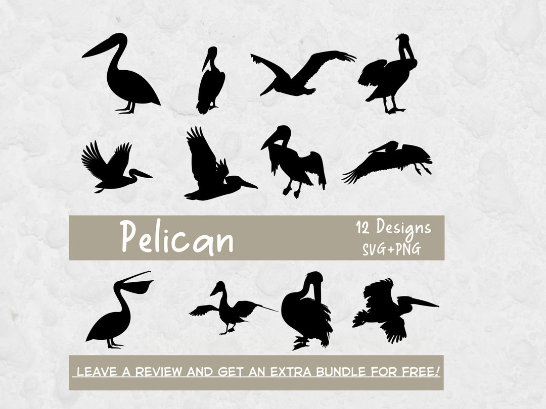 Pelican SVG Cut File, Svg Files for Cricut, Pelican PNG, Bird Svg, Bird ...
