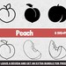 Peaches SVG, SVG Files for Cricut, Peach Clipart, Peaches Cut File ...
