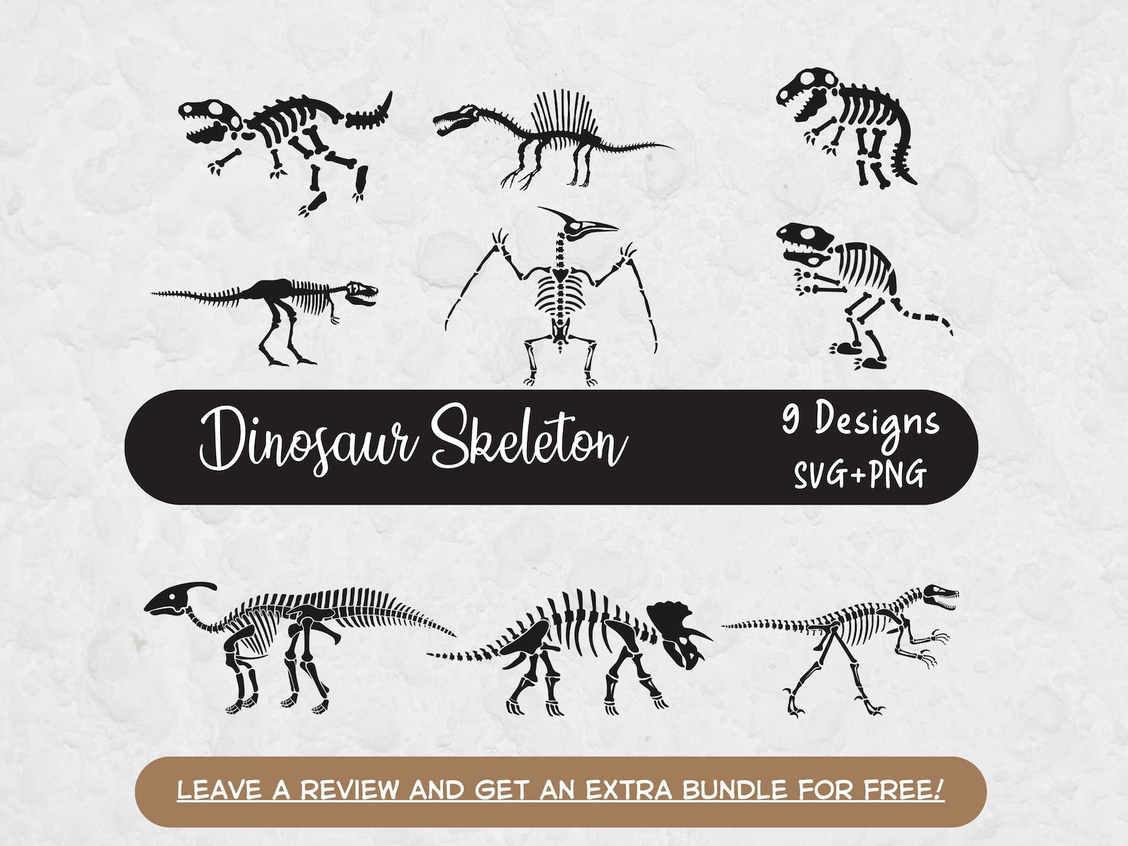 Dinosaur Skeleton SVG Bundle, 9 Fossil Designs, Prehistoric Bones ...