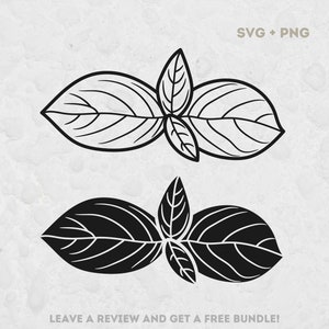 Basil SVG File, SVG Files for Cricut, Plant Svg, Herb SVG, Basil Leaves ...