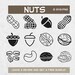 Nuts SVG Bundle, SVG Files for Cricut, Nut Clipart, Nature SVG, Forest ...