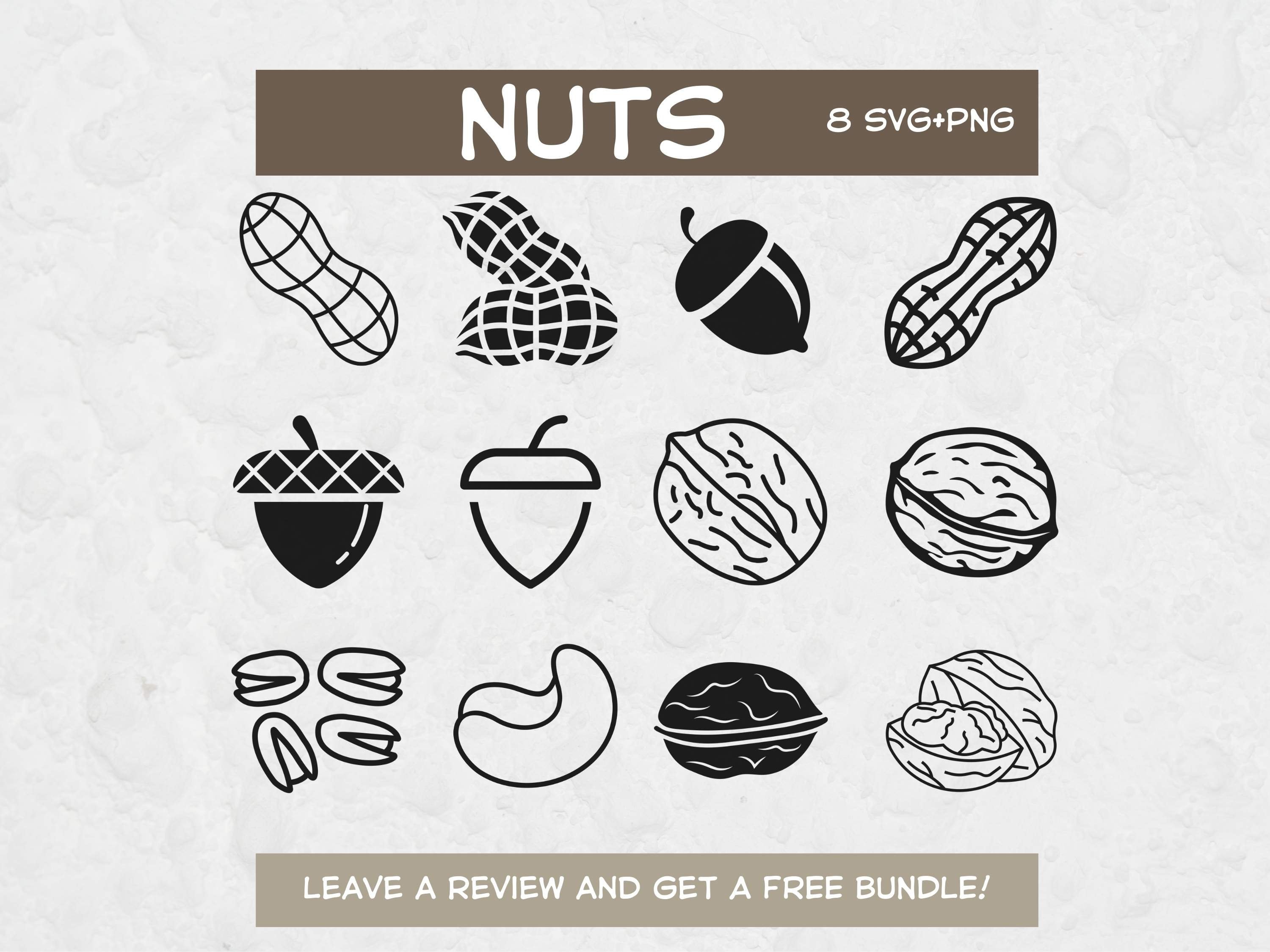 Nuts SVG Bundle, SVG Files for Cricut, Nut Clipart, Nature SVG, Forest ...
