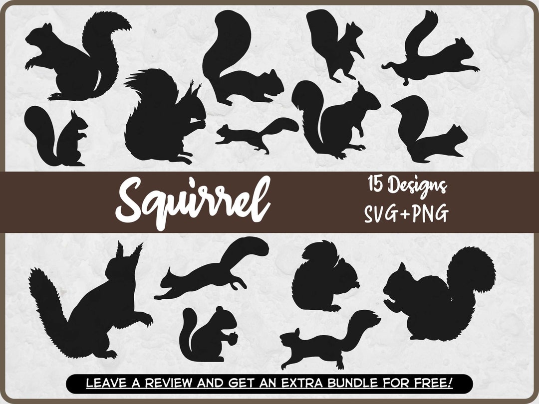 Squirrel Svg Bundle, SVG Files for Cricut, Squirrel Vector, Squirrel ...