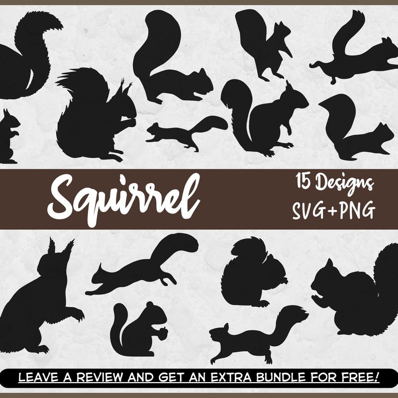 Squirrel Svg - Etsy