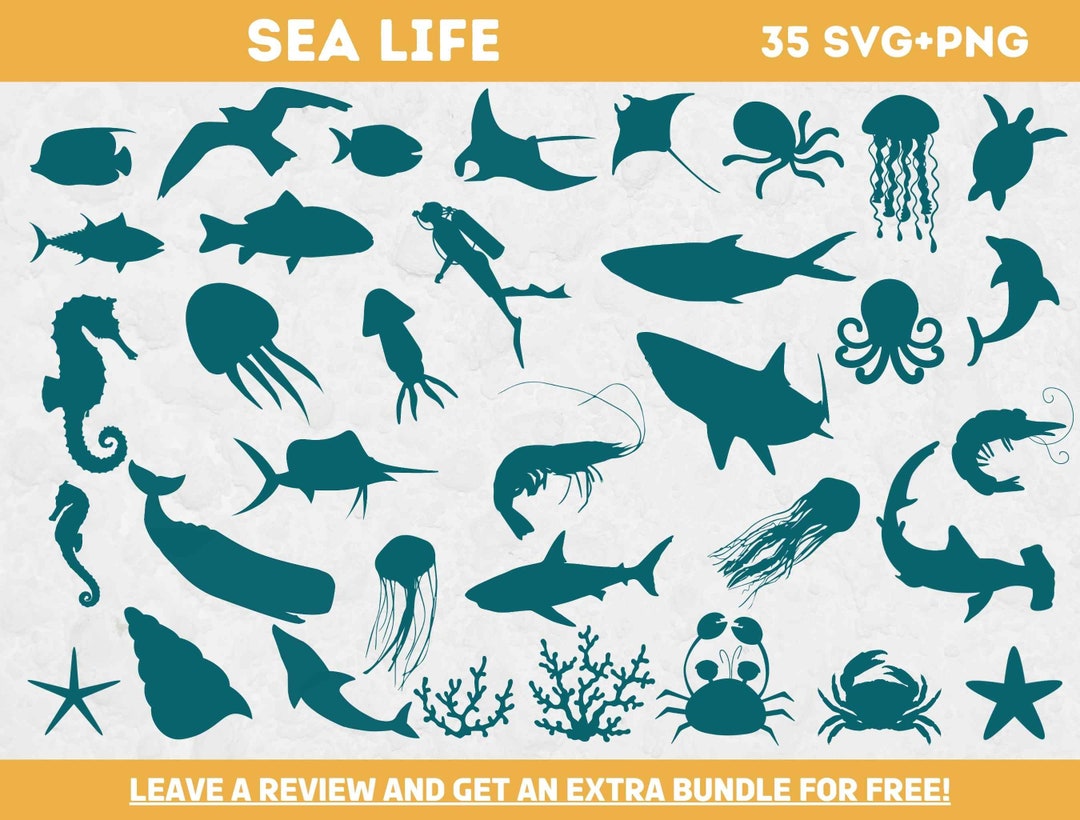 Sea Life Svg, SVG Files for Cricut, Ocean Svg, Ocean Clipart, Sea Life ...