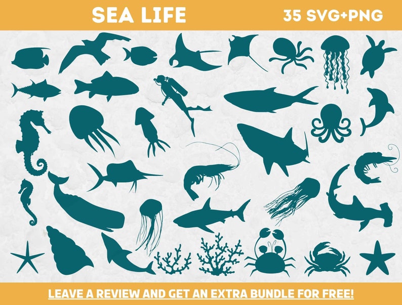 Sea Life Svg SVG Files for Cricut Ocean Svg Summer SVG - Etsy