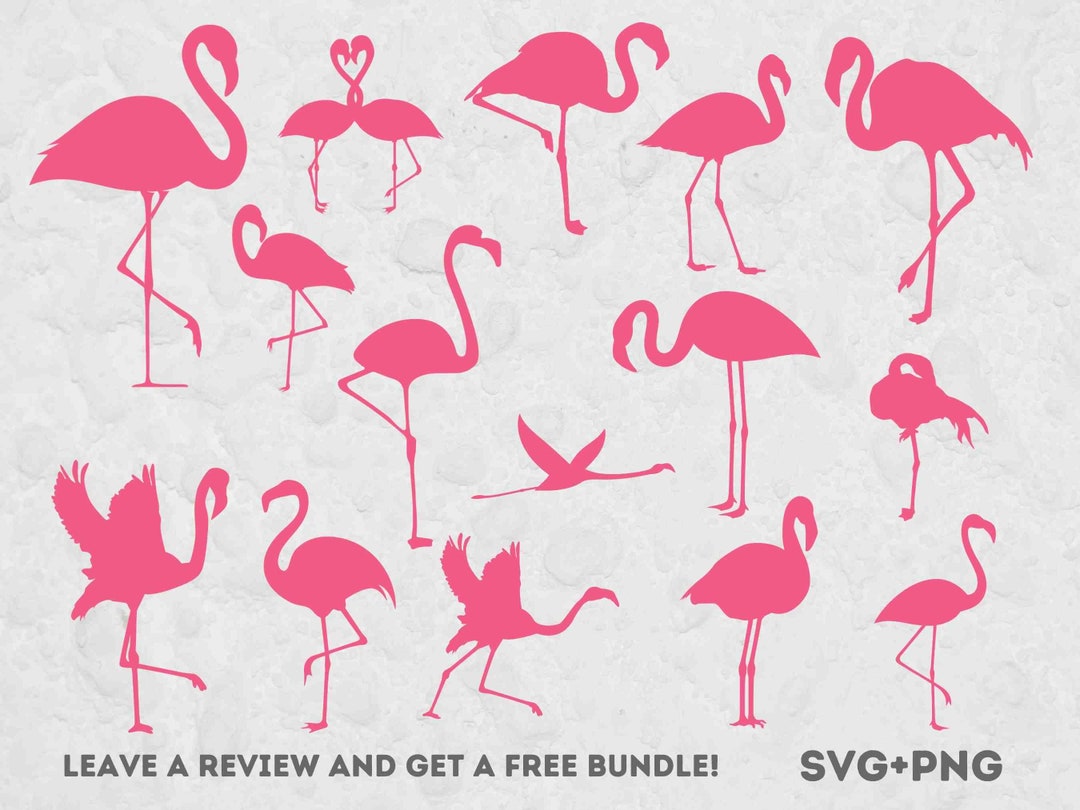 Flamingo Svg Bundle, SVG Files for Cricut, Flamingo Cut File, Flamingo ...