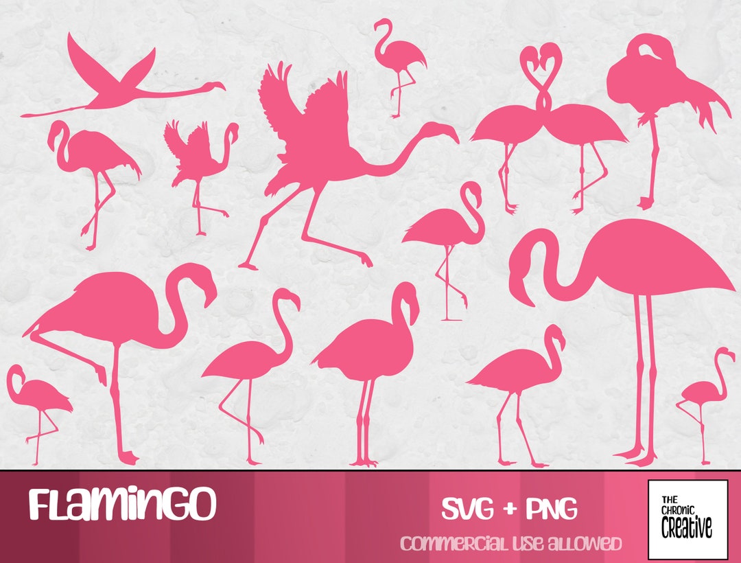 Flamingo Svg Bundle SVG Files for Cricut Bird Svg Tropical - Etsy