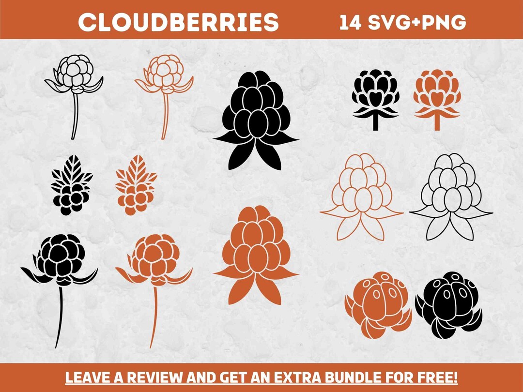 Cloudberry Svg, SVG Files for Cricut, Berry SVG, Flowers Svg, Berry ...