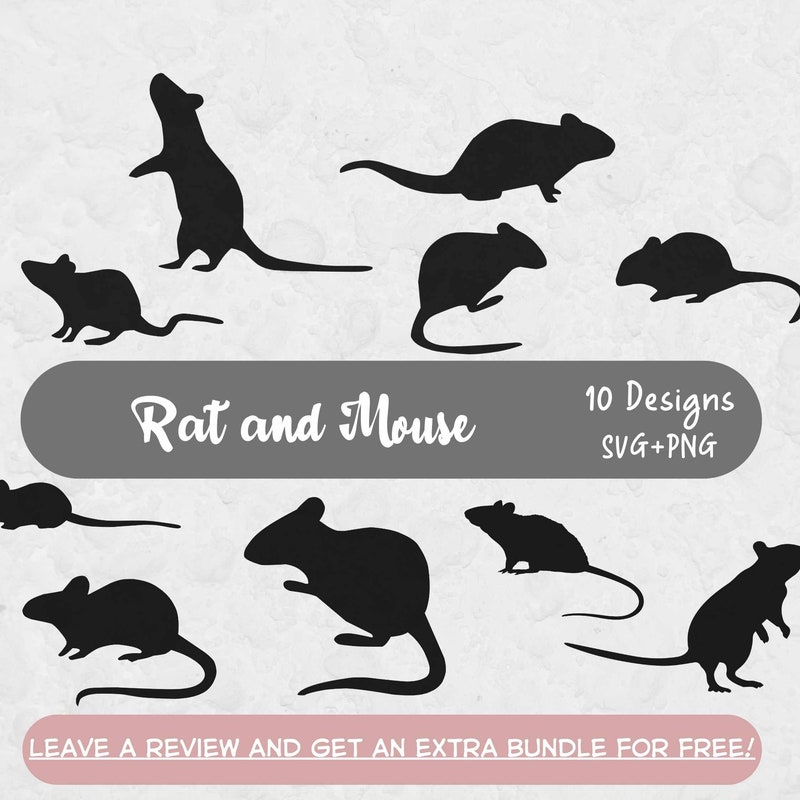 Mouse Rat Svg - Etsy