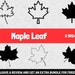 Maple Leaf Svg, SVG Files for Cricut, Maple Leaf Cut File, Leaf Vectors ...