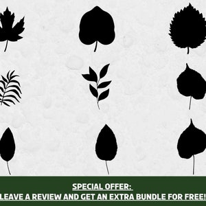 Leaf Svg Bundle, SVG Files for Cricut, Trees SVG, Leaf Cut File, Leaves ...