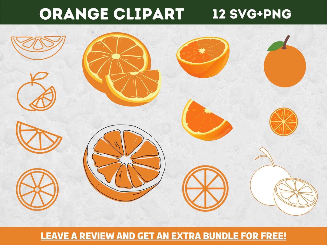 Orange Clipart, SVG Files for Cricut, Orange SVG, Citrus SVG, Orange ...