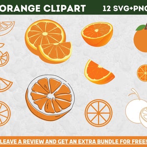 Orange Clipart, SVG Files for Cricut, Orange SVG, Citrus SVG, Orange ...