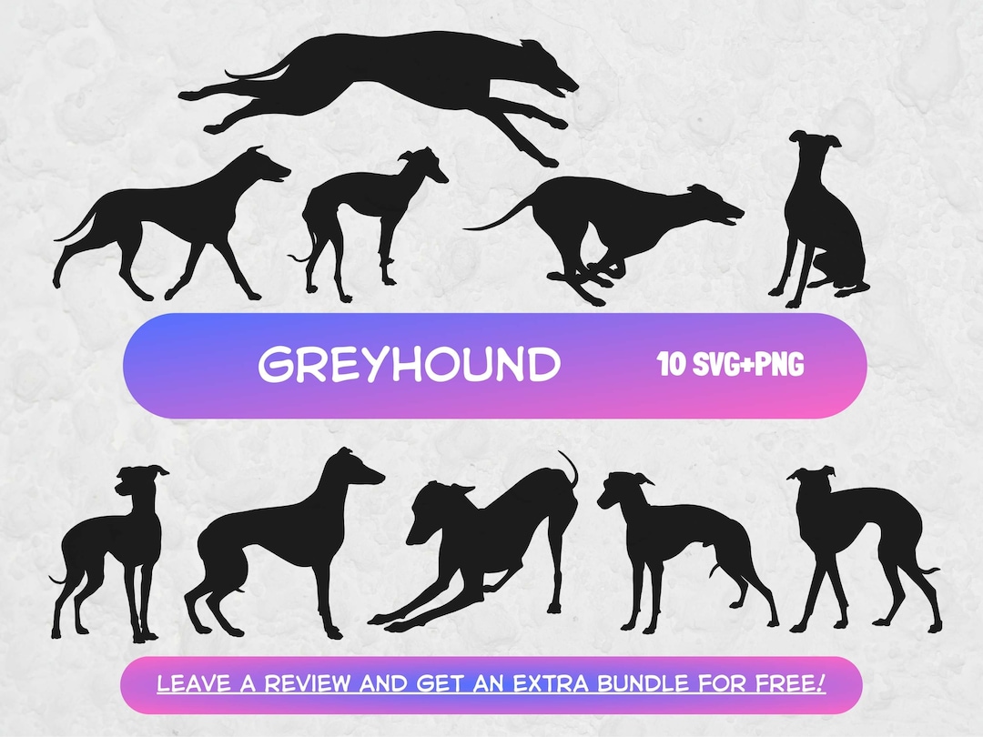 Greyhound Svg Bundle, Svg Files for Cricut, Dog Race SVG, Greyhound ...