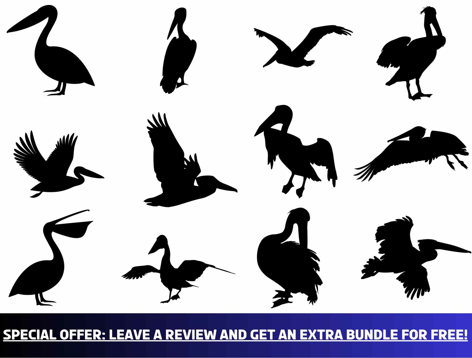 Pelican SVG Cut File, Svg Files for Cricut, Pelican PNG, Bird Svg, Bird ...