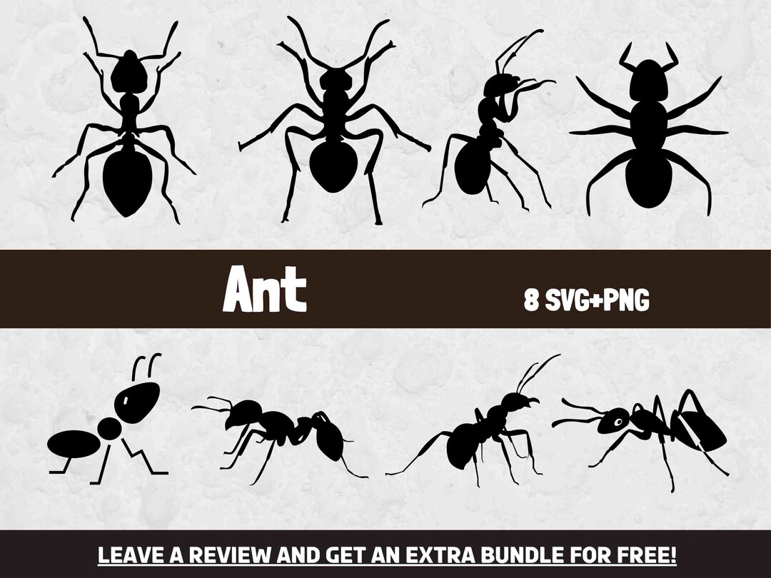 Ant Svg Cut File, Ant PNG, Ant Vector, Insect Svg, Ant Clipart ...