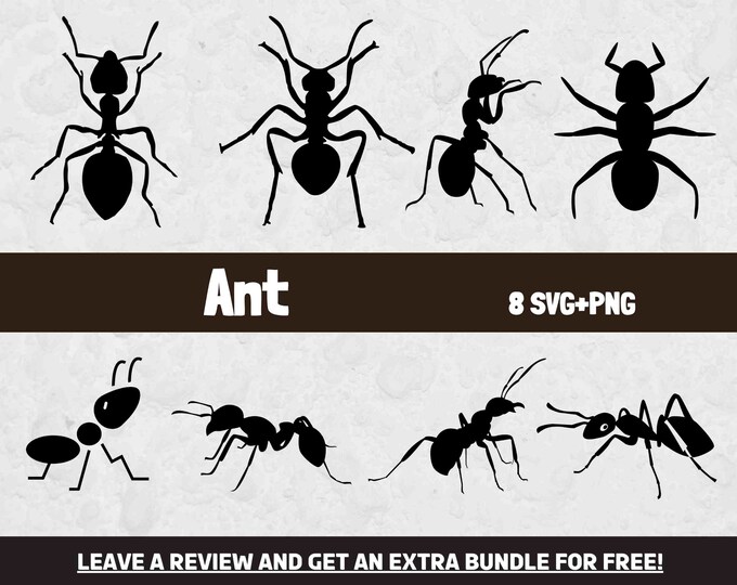 Ant Svg Cut File, Ant PNG, Ant Vector, Insect Svg, Ant Clipart ...