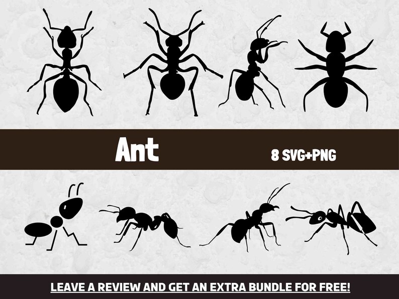 Ant Svg Cut File Ant PNG Ant Vector Insect Svg Ant - Etsy