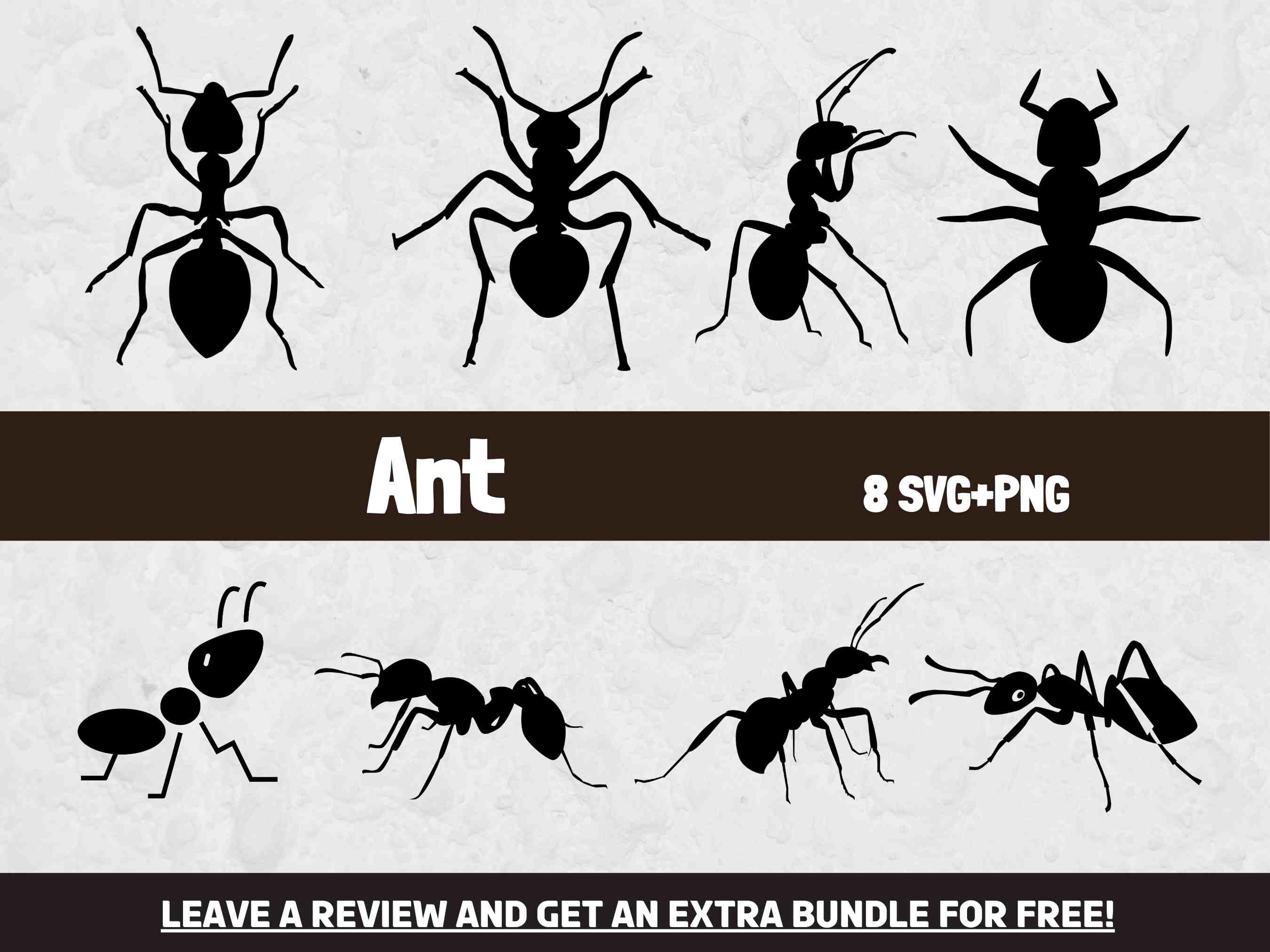 Ant Svg Svg Files for Cricut Insect Svg Ant Clipart - Etsy Canada