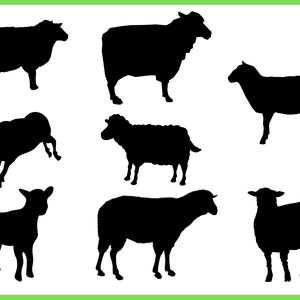 Sheep Svg Bundle, SVG Files for Cricut, Sheep Cut File, Sheep Clipart ...