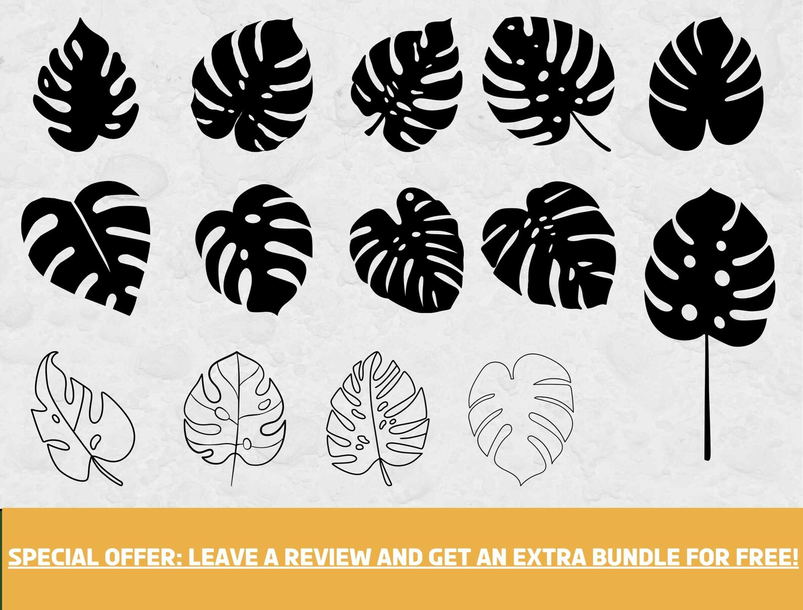 Monstera Svg Bundle Svg Files for Cricut Plant Lover - Etsy