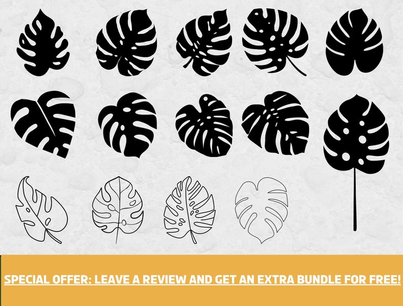 Monstera Svg Bundle Svg Files for Cricut Plant Lover - Etsy