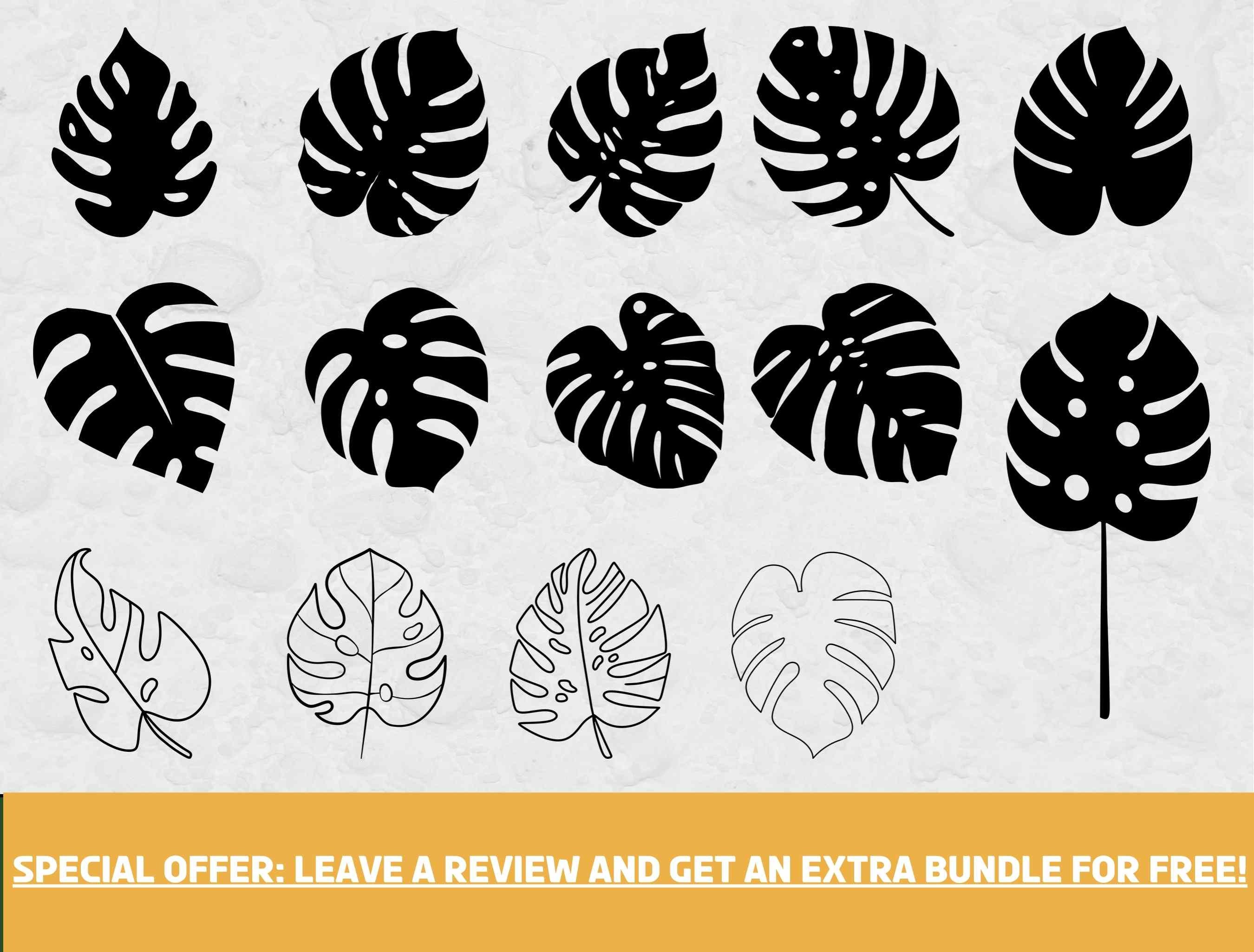 Monstera Svg Bundle Svg Files for Cricut Plant Lover - Etsy