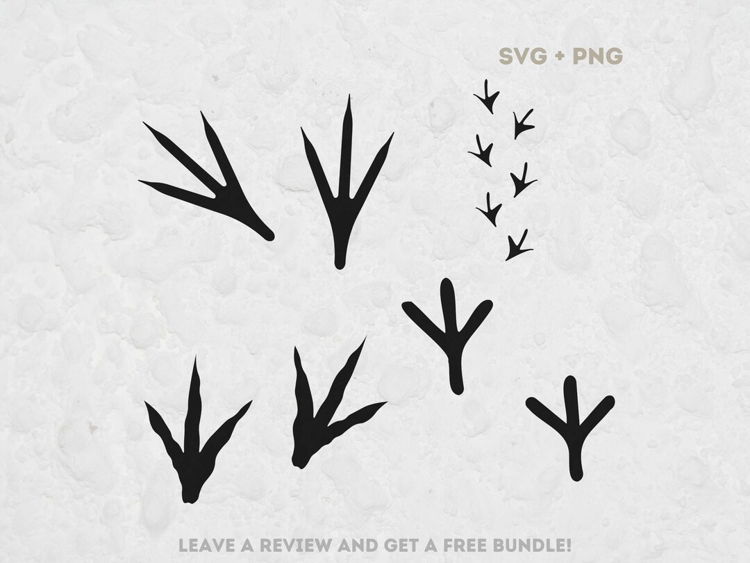 Chicken Svg Bundle, SVG Files for Cricut, Chicken Cut File, Chicken ...