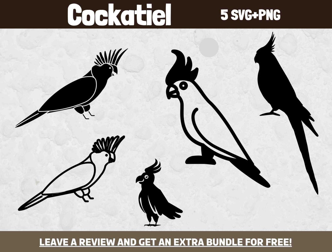 Cockatiel Svg, SVG Files for Cricut, Parrot Svg, Tropical Bird SVG ...