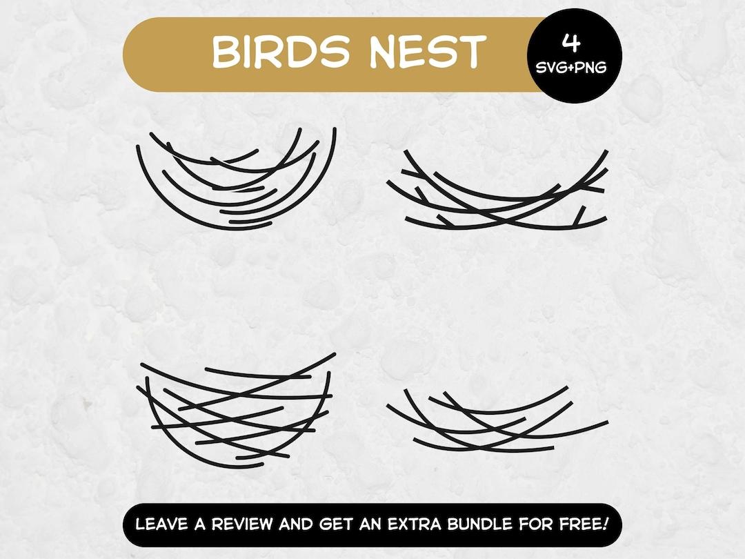 Birds Nest Svg, SVG Files for Cricut, Bird Lover, Bird Clipart, Bird ...
