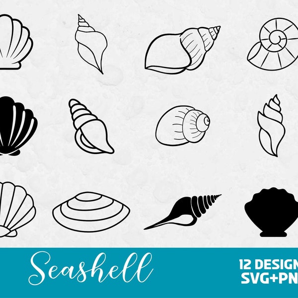 Seashell Ocean - Etsy
