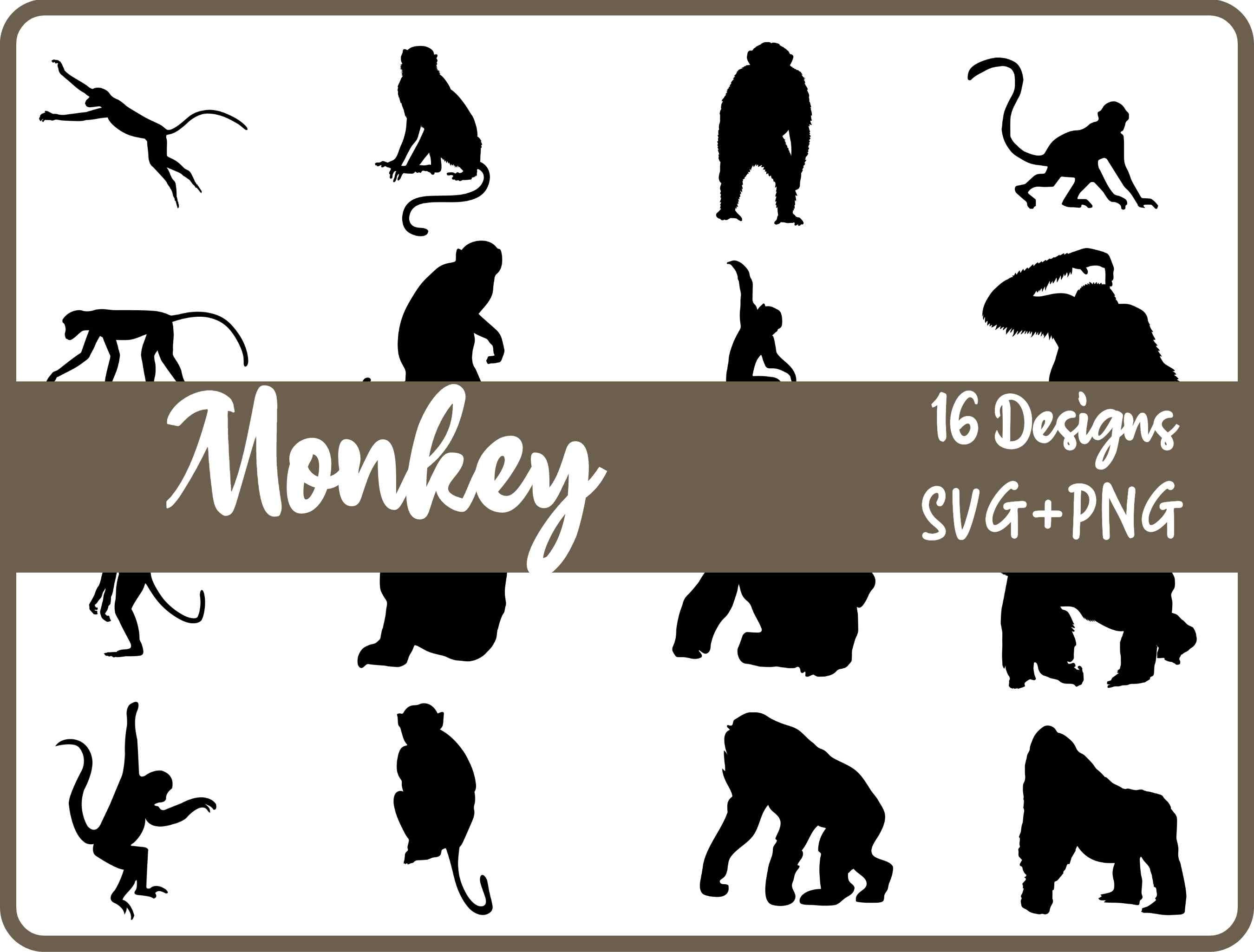 Monkey Svg Bundle Svg Files for Cricut Animal Svg Zoo Svg - Etsy