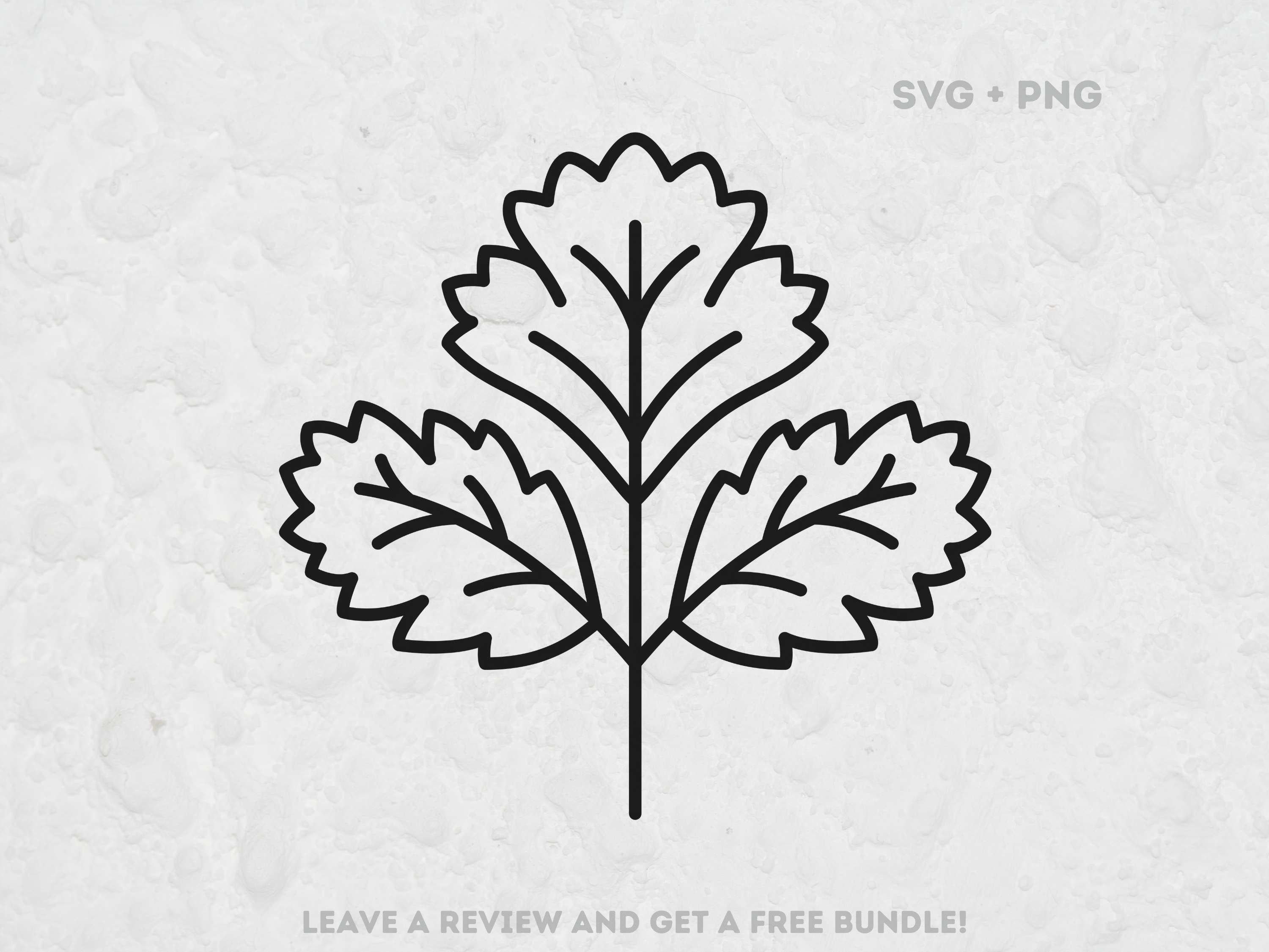 Cilantro SVG File SVG Files for Cricut Plant Svg Herb SVG - Etsy