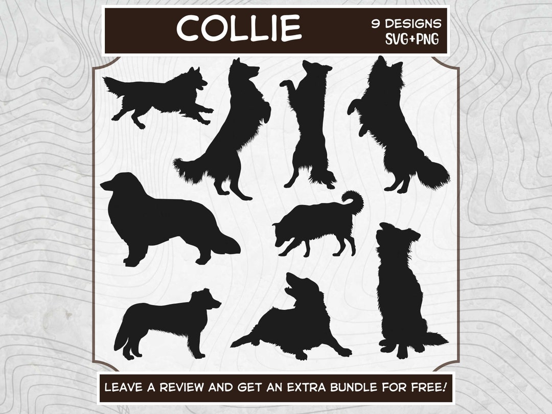 Collie Svg, Svg Files for Cricut, Collie PNG, Dog SVG, Collie ...