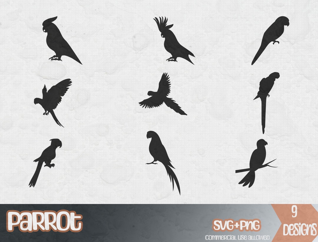 Parrot Svg Bundle SVG Files for Cricut Bird Lover Tropical - Etsy