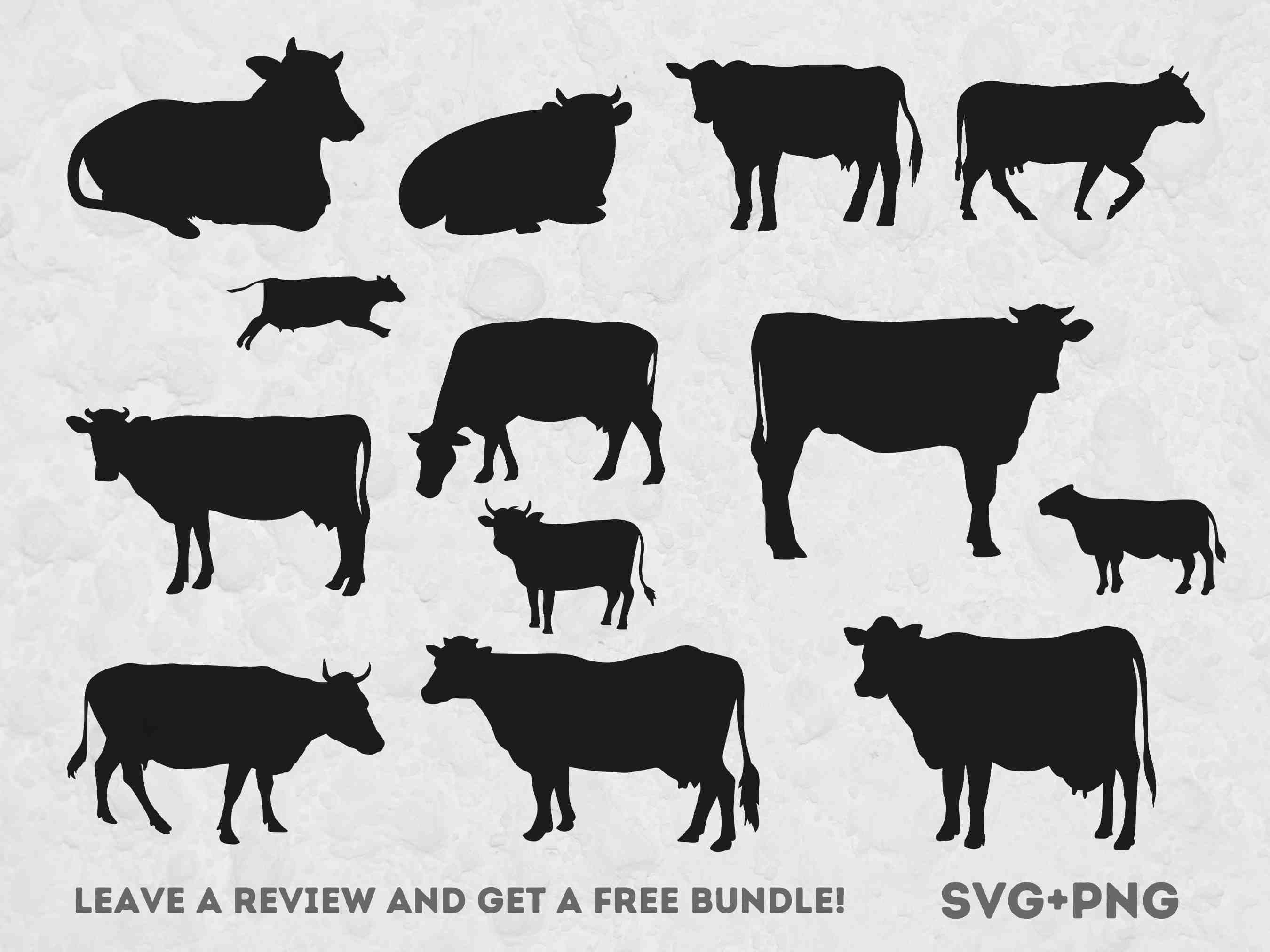 Cow Svg Svg Files for Cricut Cow Clipart Texas SVG Farm - Etsy