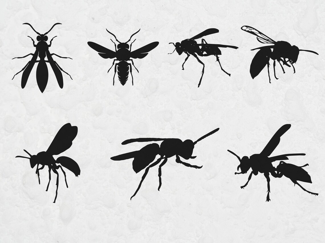 Wasp SVG Bundle, Wasp Silhouette SVG, Insect SVG for Cricut, Wasp ...