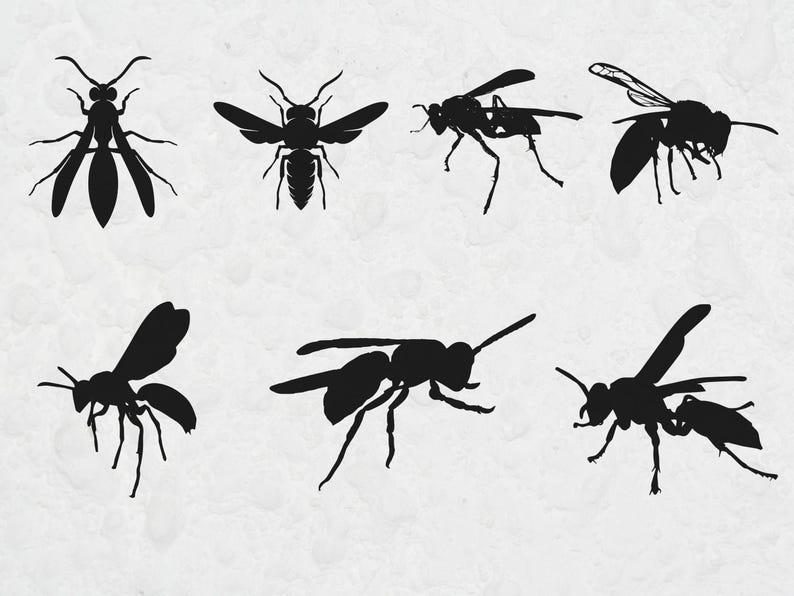 Wasp SVG Bundle, Wasp Silhouette SVG, Insect SVG for Cricut, Wasp ...