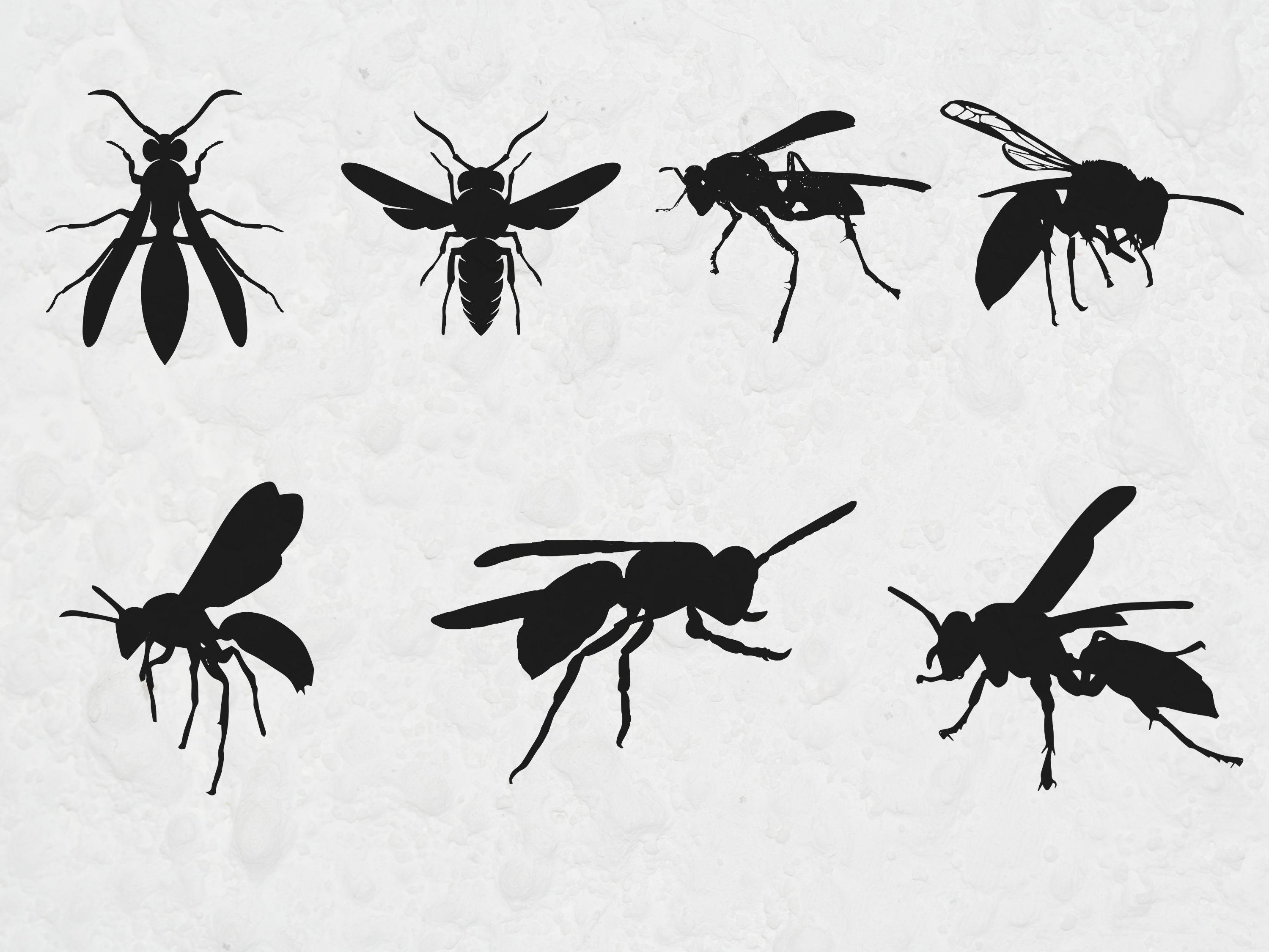 Wasp SVG Bundle, Wasp Silhouette SVG, Insect SVG for Cricut, Wasp ...
