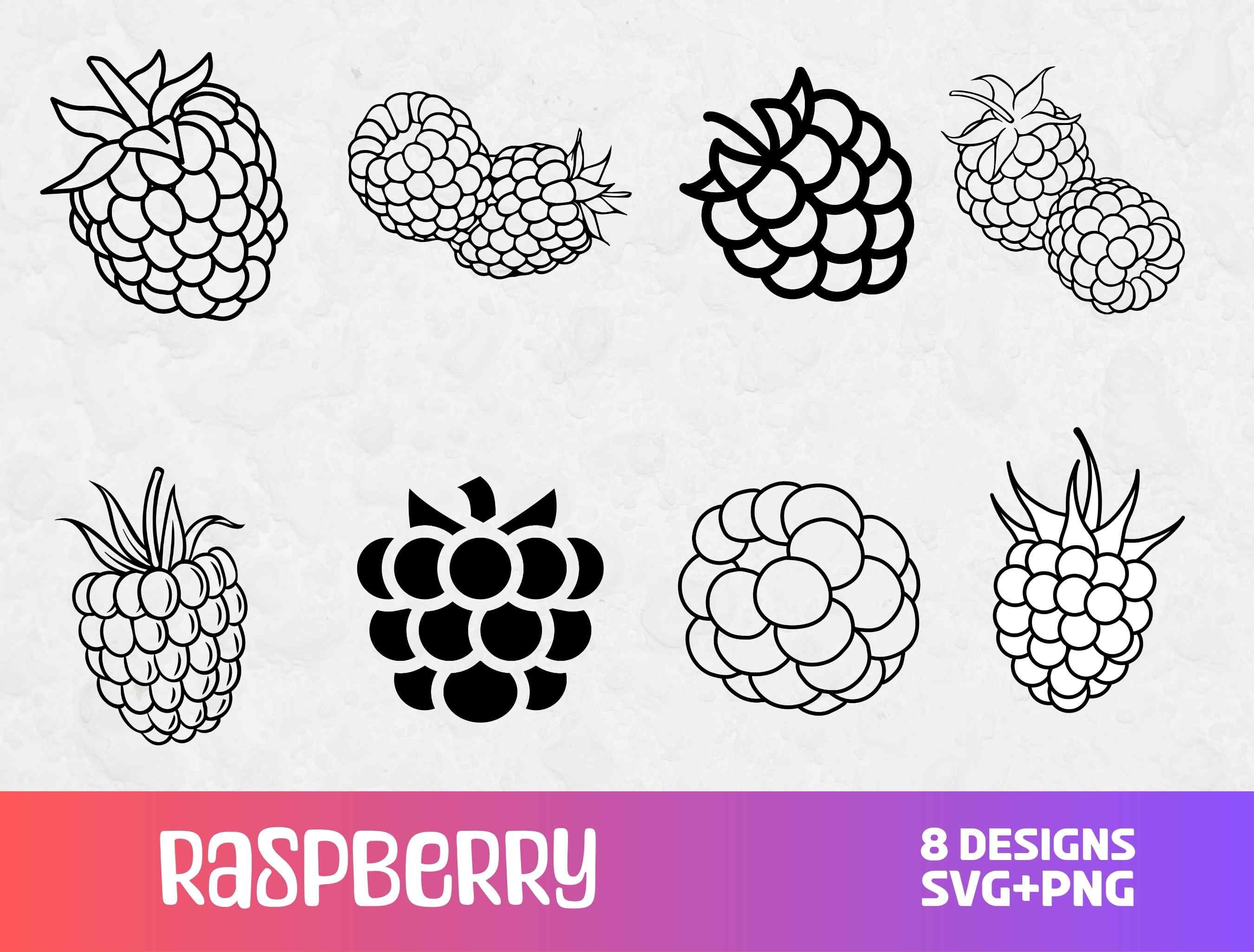 Raspberry Svg Berry SVG Nature Svg SVG Files for Cricut - Etsy Australia