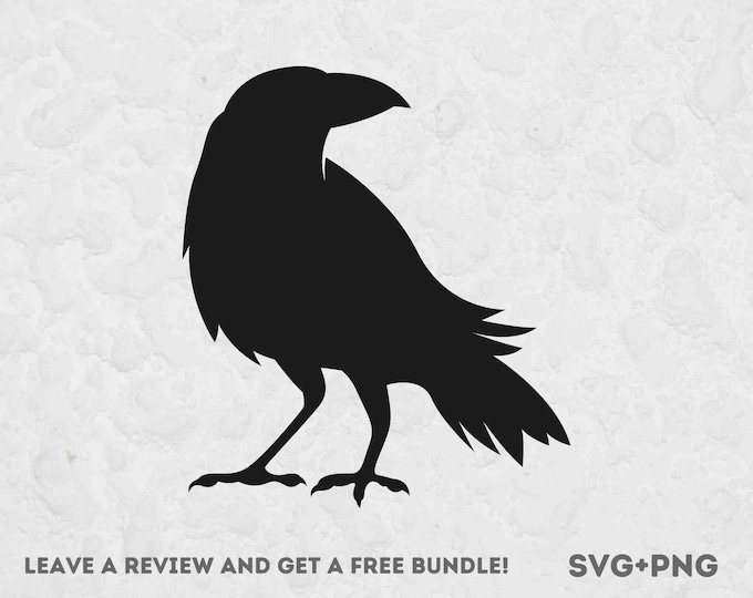 Raven Svg, Svg Files for Cricut, Bird Svg, Bird Clipart, Silhouette Svg ...