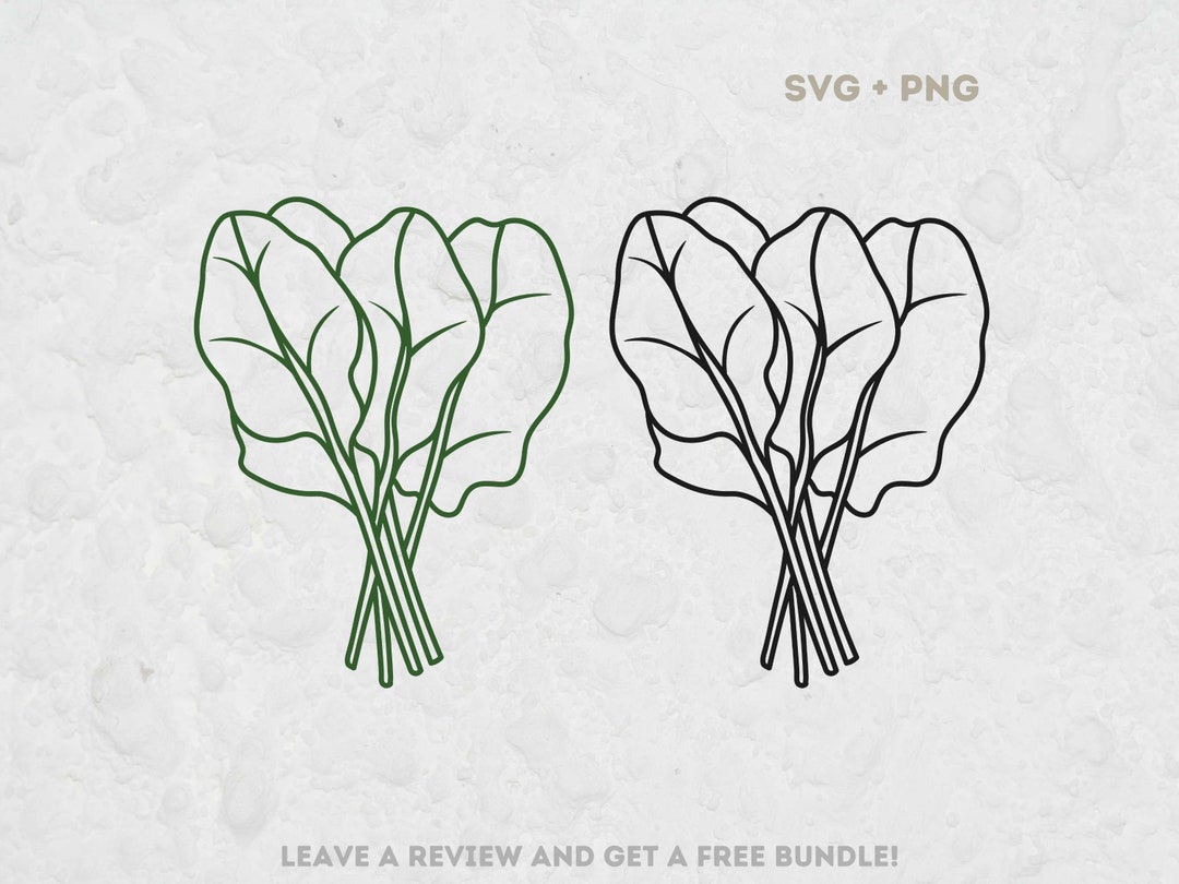Spinach Svg, Svg Files for Cricut, Vegetable Svg, Plant Clipart ...