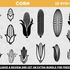 Corn SVG Bundle, SVG Files for Cricut, Corn Clipart, Farm Svg ...