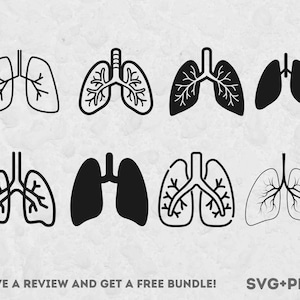 Lungs Svg, Anatomy SVG, Svg Files for Cricut, Medicine Clipart, Lung ...