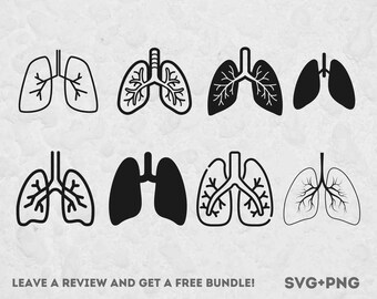 Anatomical Lungs SVG File, Respiratory Therapist SVG, Anatomy SVG ...