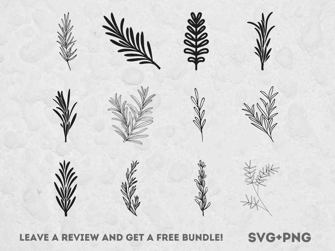 Rosemary SVG, SVG Files for Cricut, Herb SVG, Herbs Svg, Rosemary ...