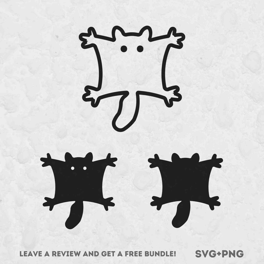 Flying Squirrel Svg Bundle, Squirrel Vectors, Squirrel Cut Files ...