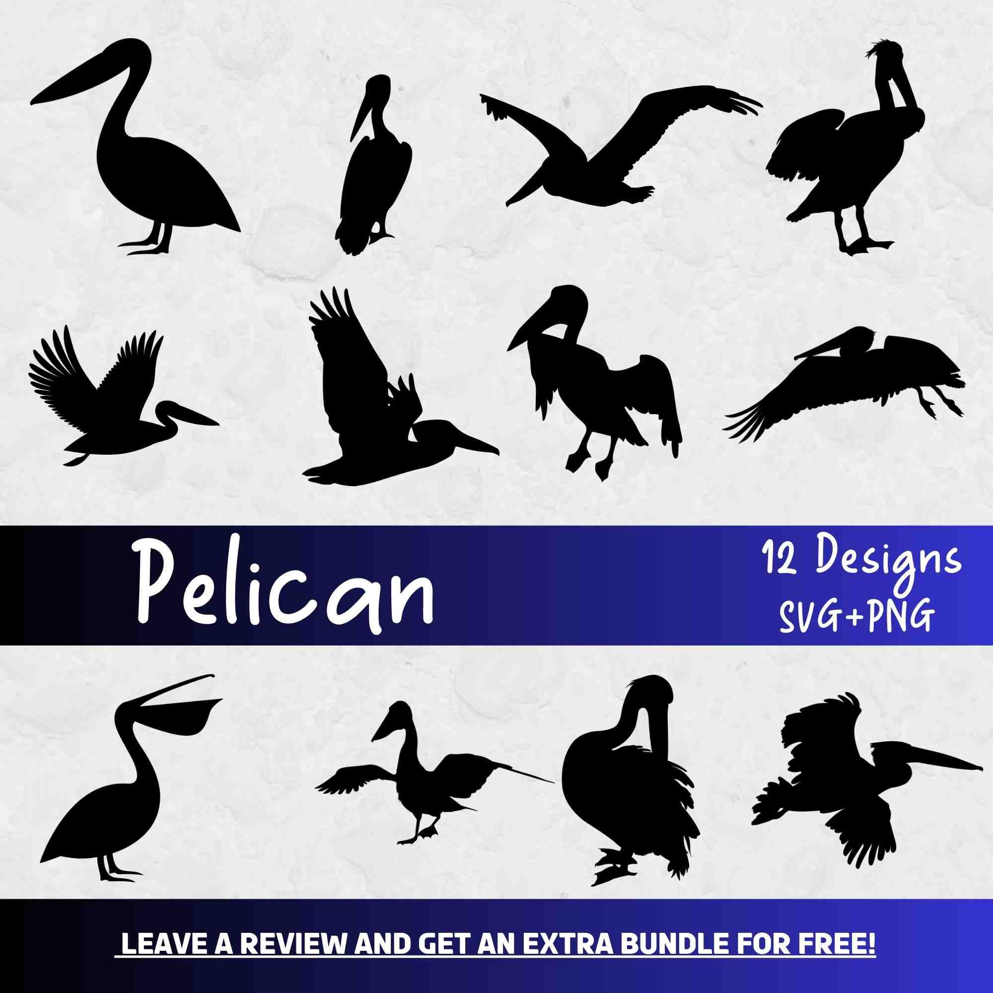 Pelican SVG Cut File Svg Files for Cricut Pelican PNG Bird - Etsy